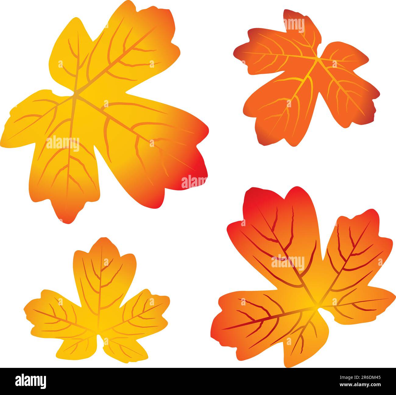Yellow and gold fall leaves Stock Vector Images - Alamy