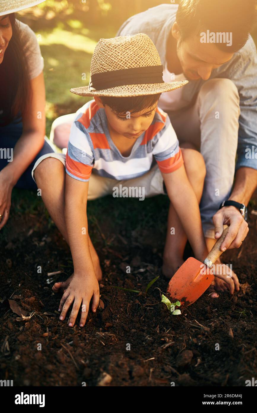 Family, soil or learning to plant in garden for sustainability ...