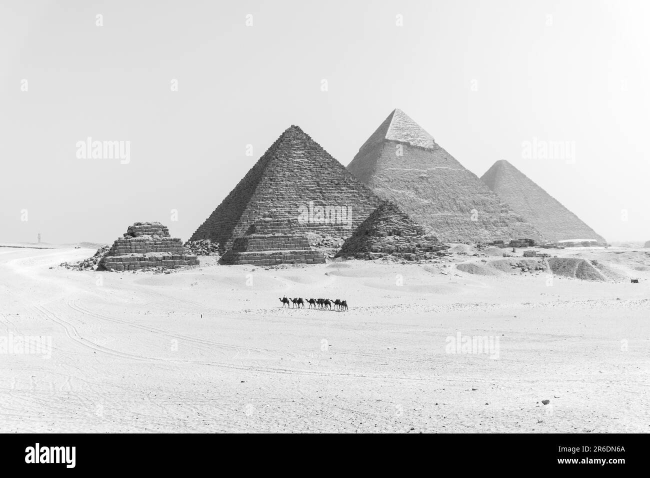 Black and white pyramids of giza with camels in the distance Stock ...