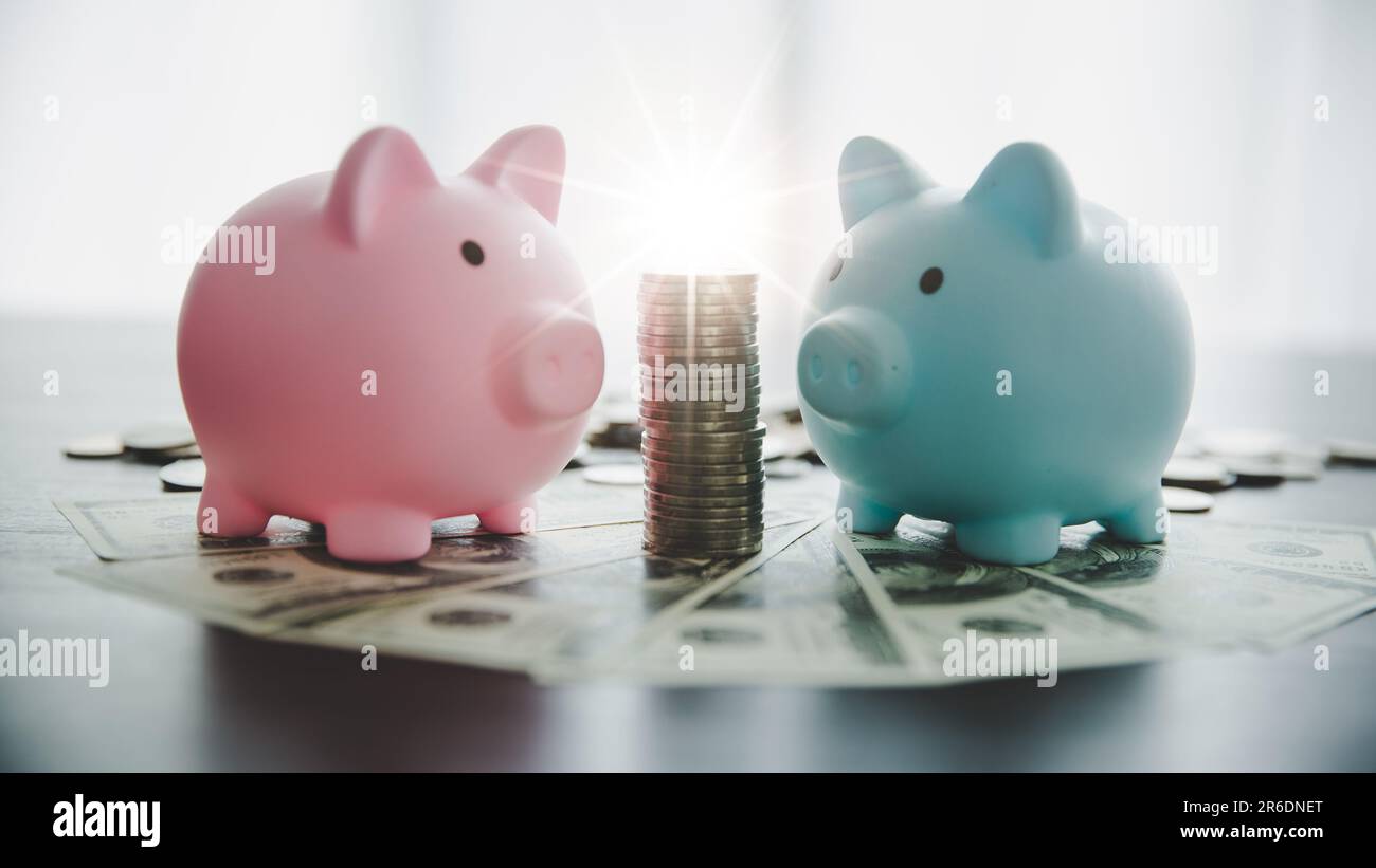 Retirement Fund Piggy Bank