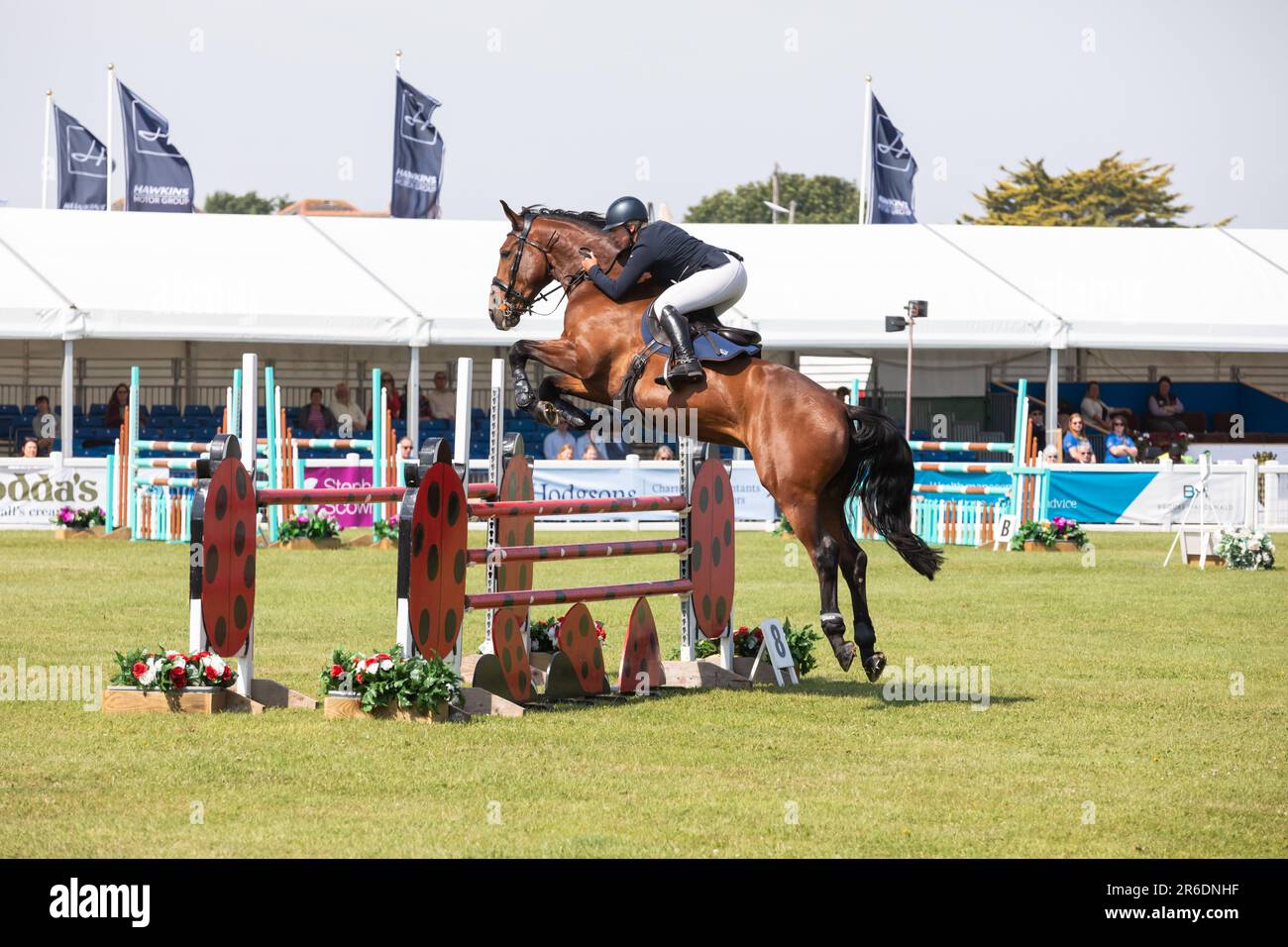 Horse Jumping at The Royal Cornwall Show, Wadebridge Stock Photo - Alamy