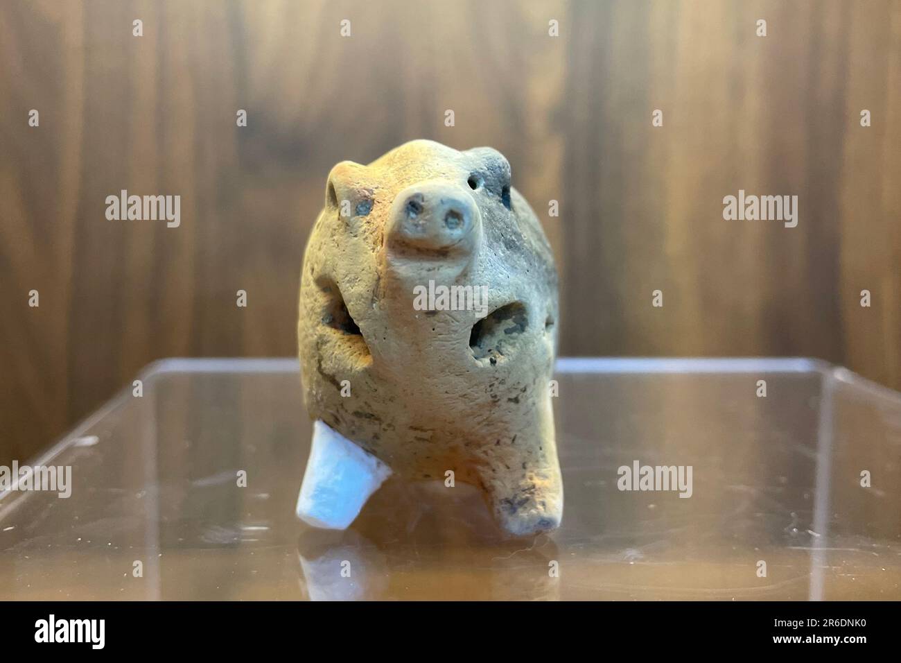 Pottery pig hi-res stock photography and images - Alamy