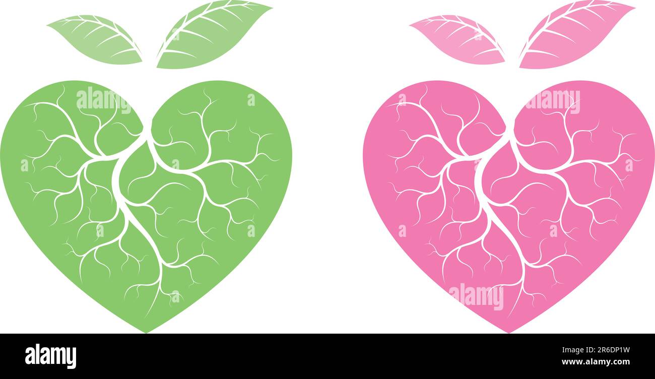 Plant pattern Stock Vector Images - Alamy