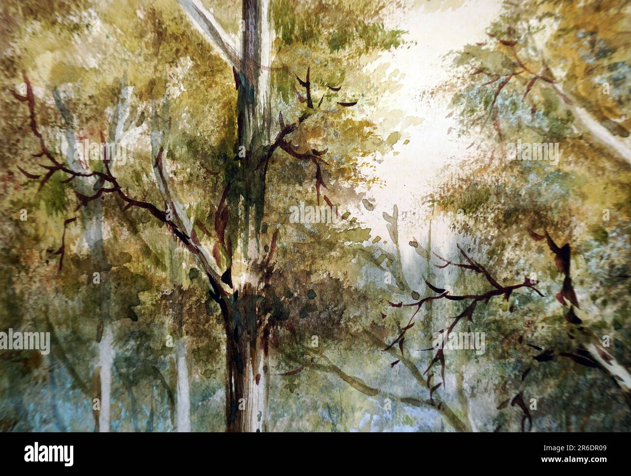original Watercolor painting - landscape of tree Stock Photo - Alamy