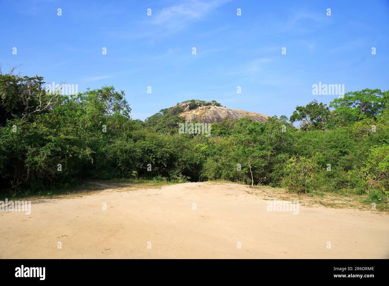 A scenic landscape featuring a sandy terrain with trees and a majestic ...