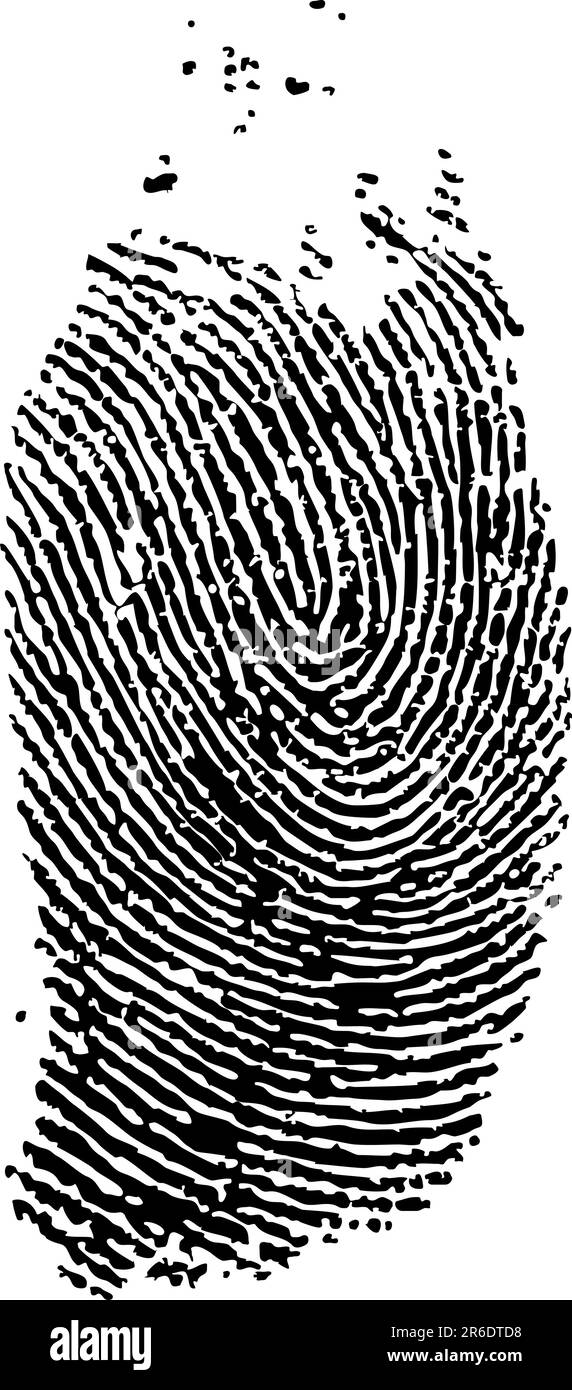 detailed finger print - vector illustration Stock Vector Image & Art ...