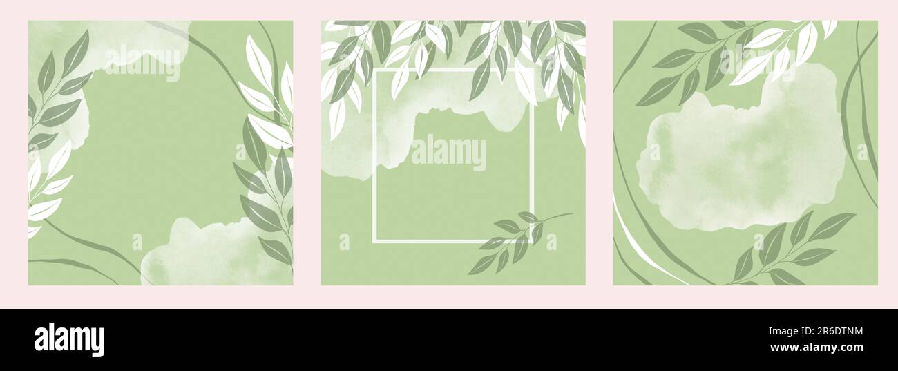 Botanical boho template for social media posts, banners and web. Simple ...