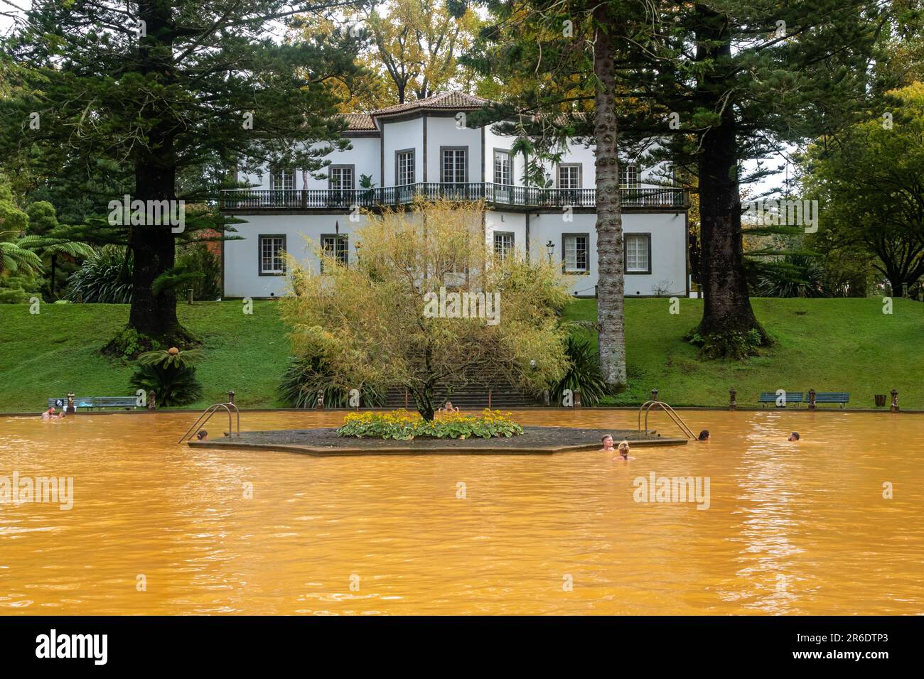 The famous yellow thermal pool in the Terra Nostra botanical garden at ...