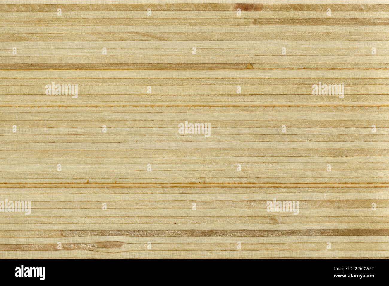 Macro close up cross section detail of plywood Stock Photo - Alamy