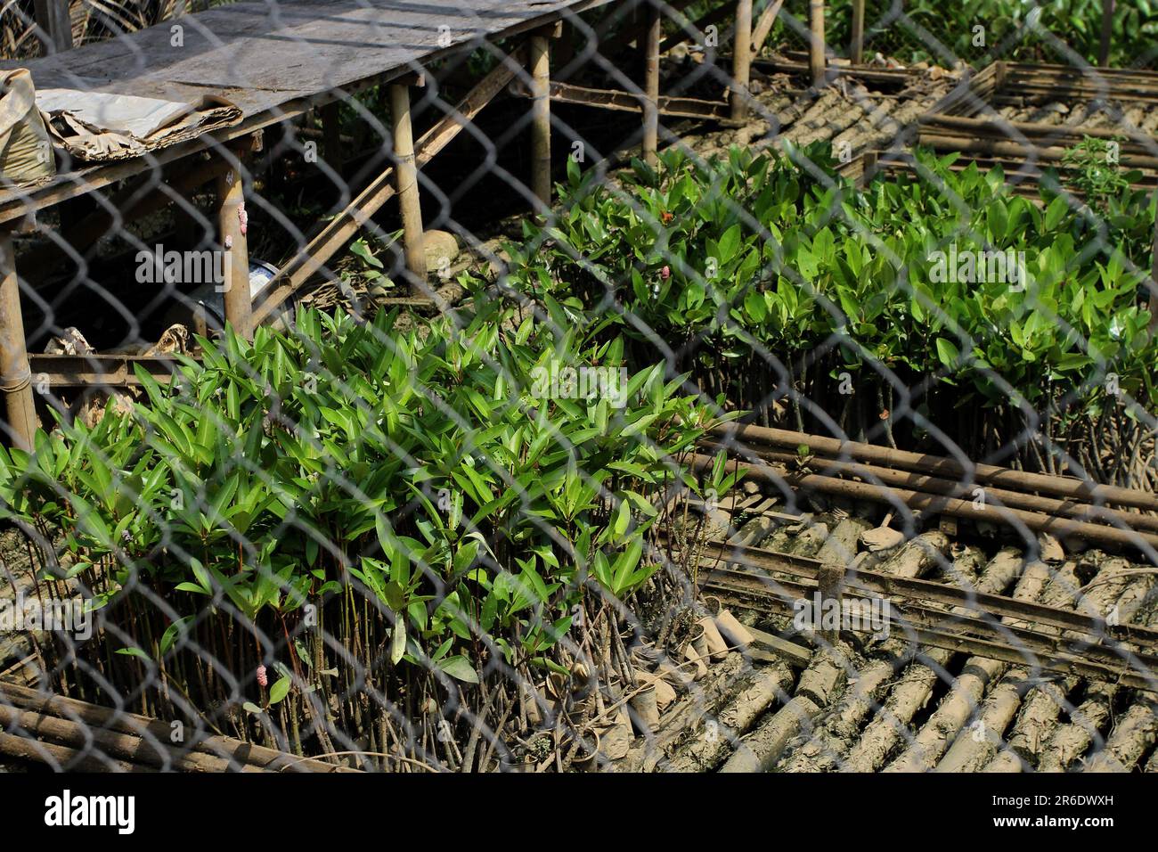 June 7, 2023, Jakarta, Jakarta Capital Special Region, Indonesia ...
