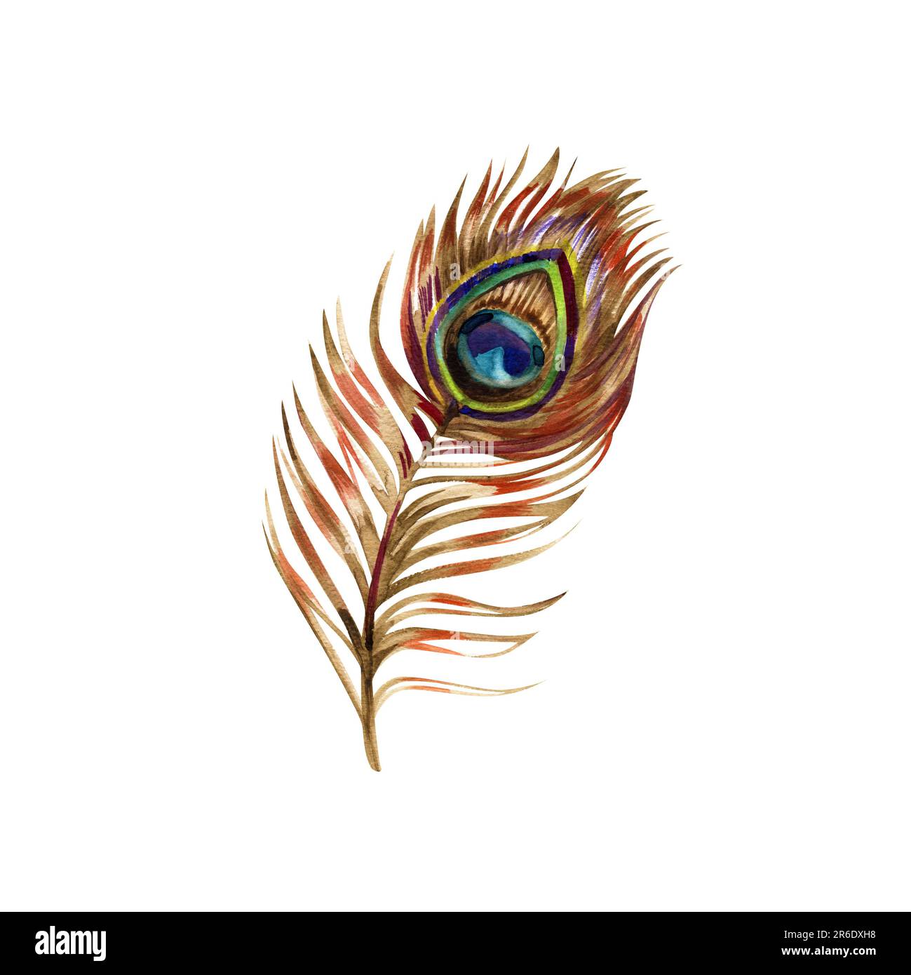 Peacock Feather Painting