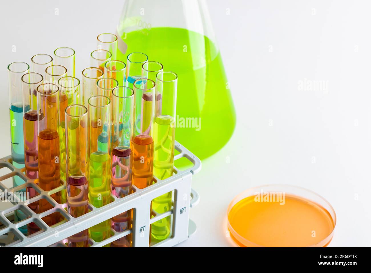 Close up of chemistry test tubes and dishes with liquid and copy space ...