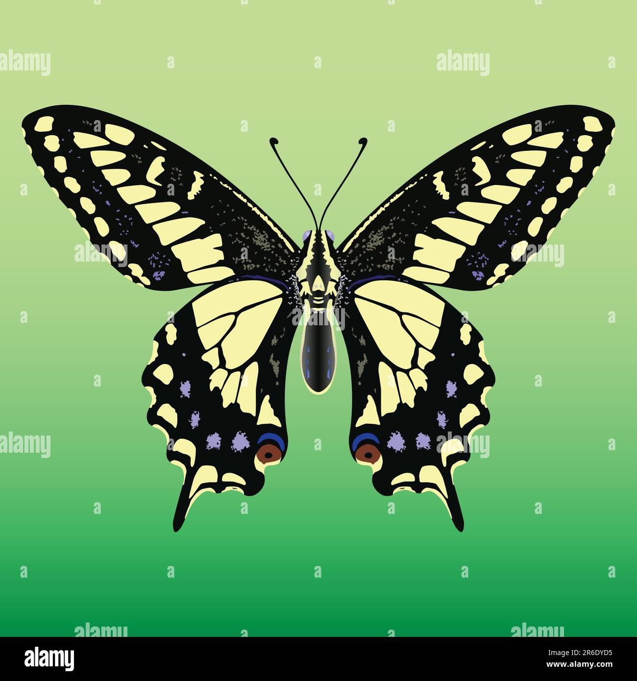 Yellow moth insect animal Stock Vector Images - Alamy