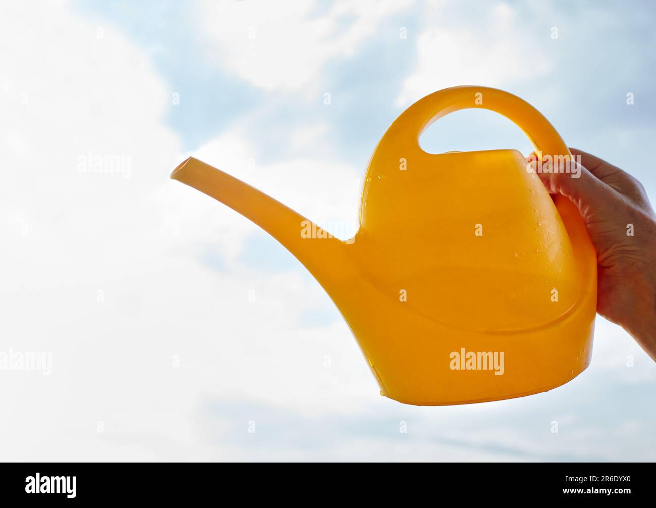 Man gardening in home greenhouse. Men's hand hold watering can against ...
