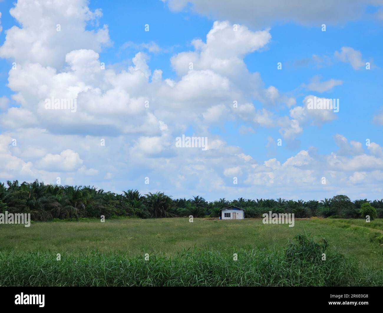 Small tiny house on the lawn in the forest. Lonely house in a green ...
