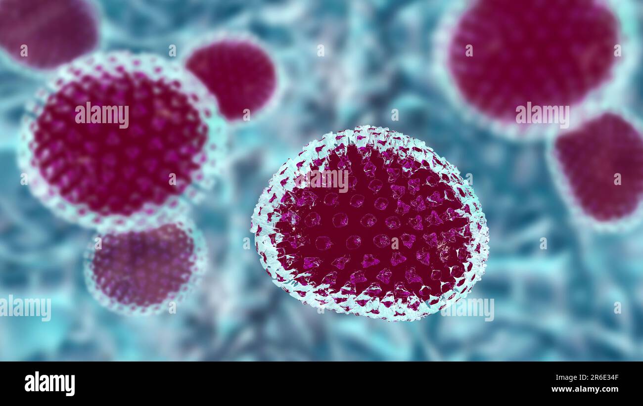 Flu viruses, computer illustration. Each virus consists of a core of ...