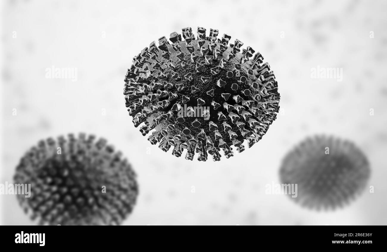 Flu viruses, computer illustration. Each virus consists of a core of ...