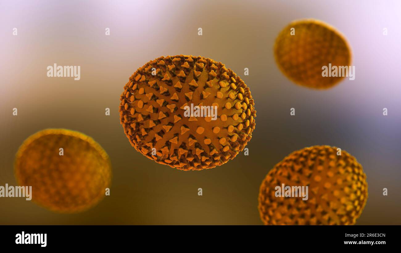 Flu viruses, computer illustration. Each virus consists of a core of ...