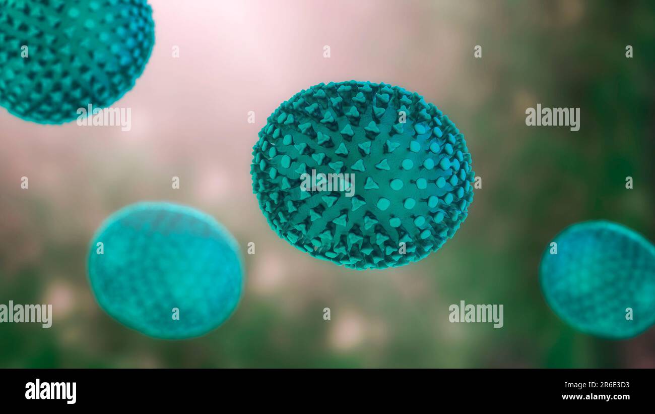 Flu viruses, computer illustration. Each virus consists of a core of ...