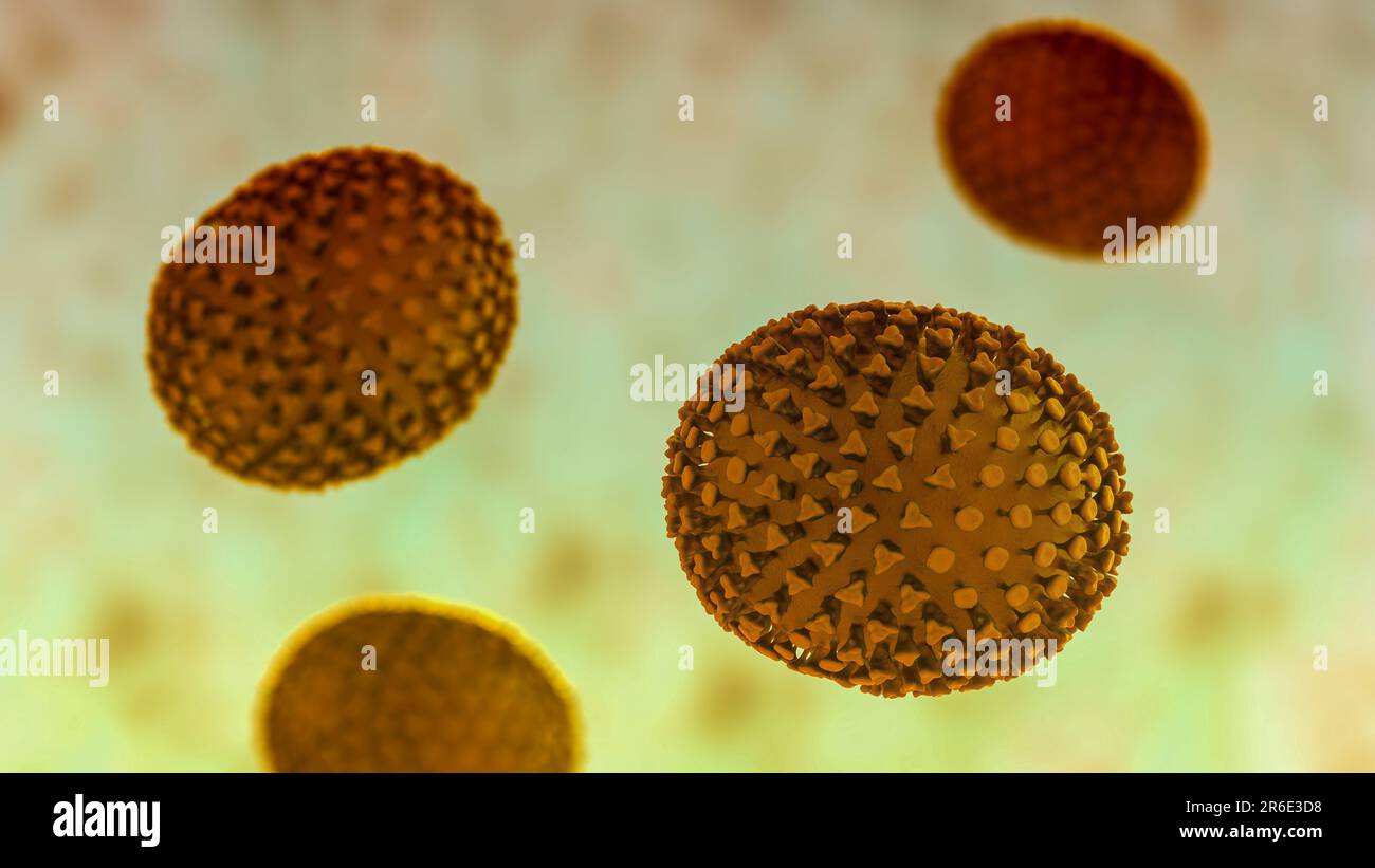 Flu viruses, computer illustration. Each virus consists of a core of ...