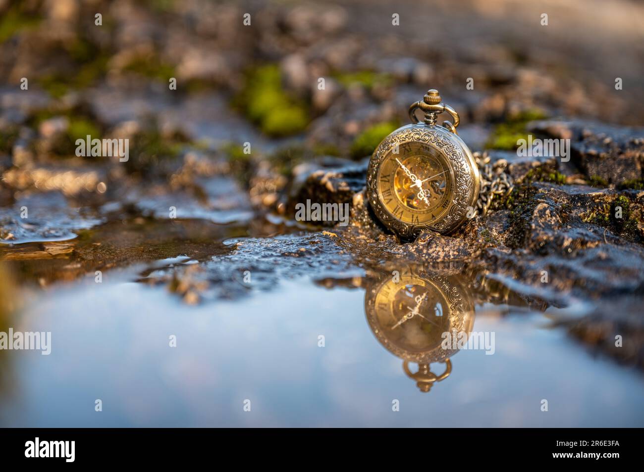 A vintage pocket watch lies in a shallow puddle of mud Stock Photo - Alamy