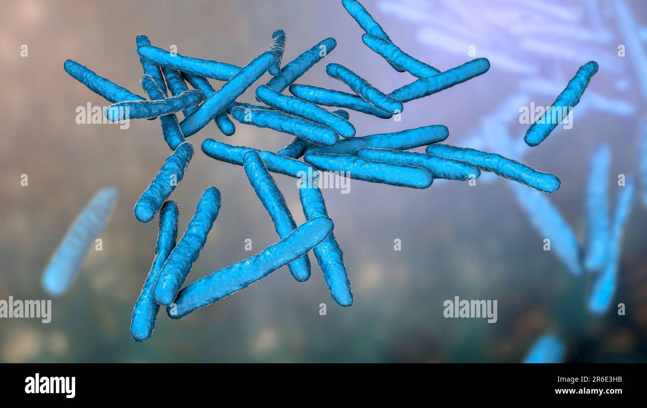 Leprosy bacteria. Computer artwork of Mycobacterium leprae bacteria, the Gram-positive rod ...