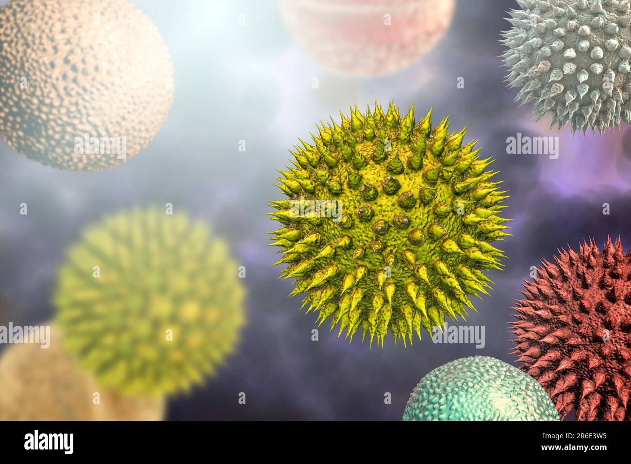 Pollen Grains From Different Plants Computer Illustration Pollen Grain Size Shape And Surface
