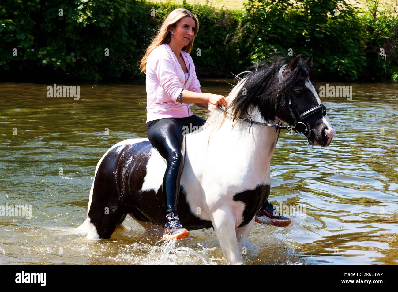 Gypsies swim their horses in the River Eden at the historic Appleby ...