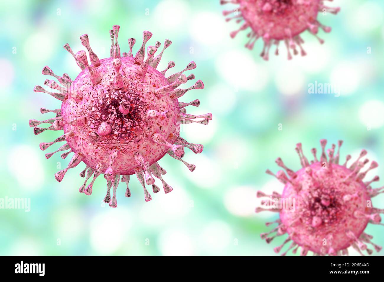 Human cytomegalovirus (HCMV), computer illustration. HCMV is a member ...