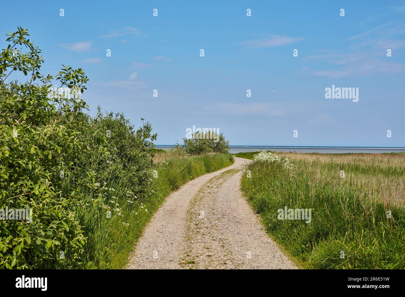 Dirt road, path and green grass in the countryside for travel ...