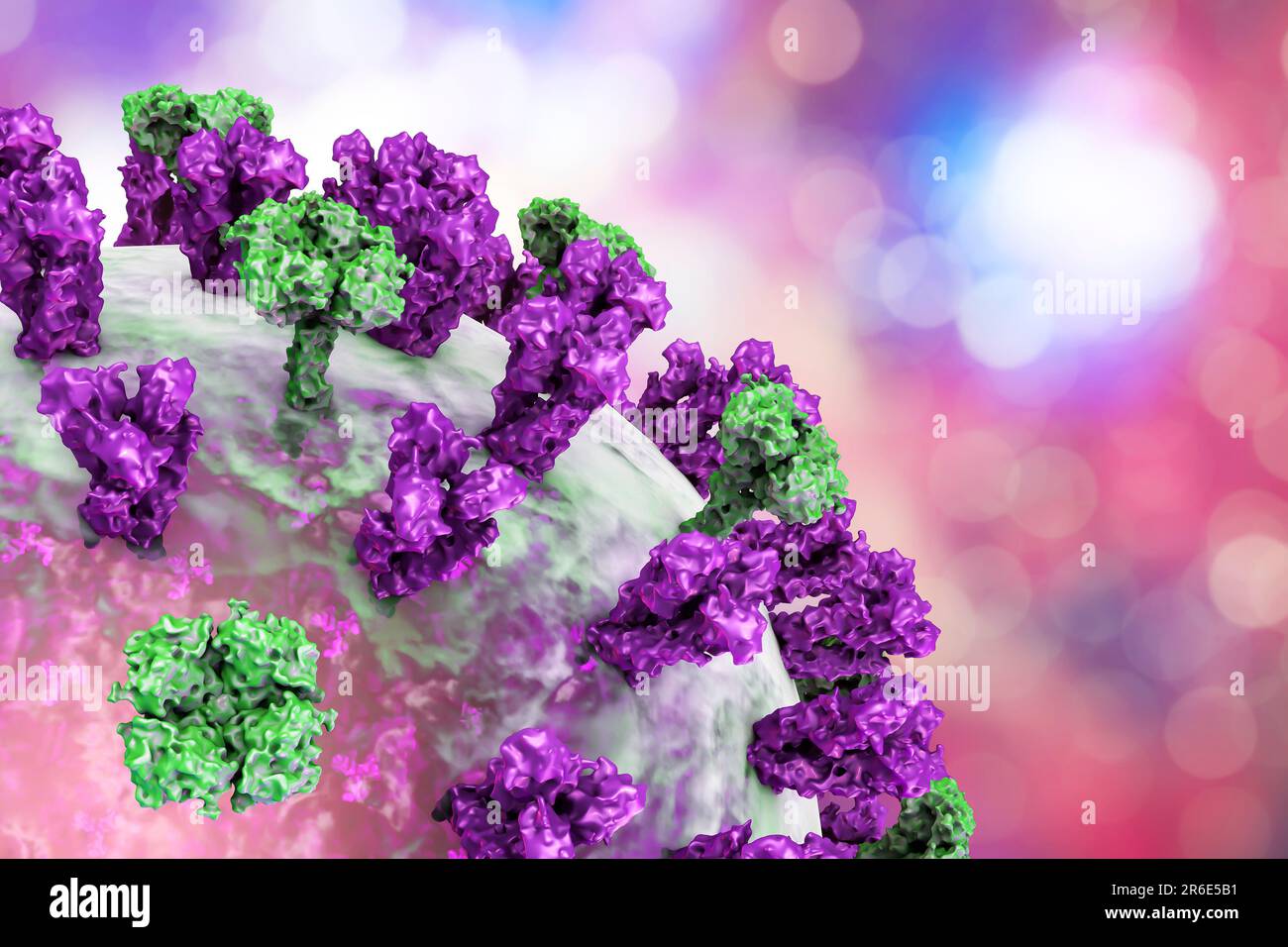 Flu virus, computer illustration. Each virus consists of a core of RNA ...