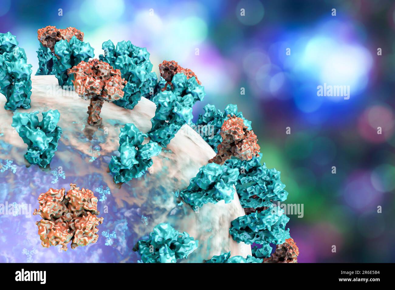 Flu virus, computer illustration. Each virus consists of a core of RNA ...