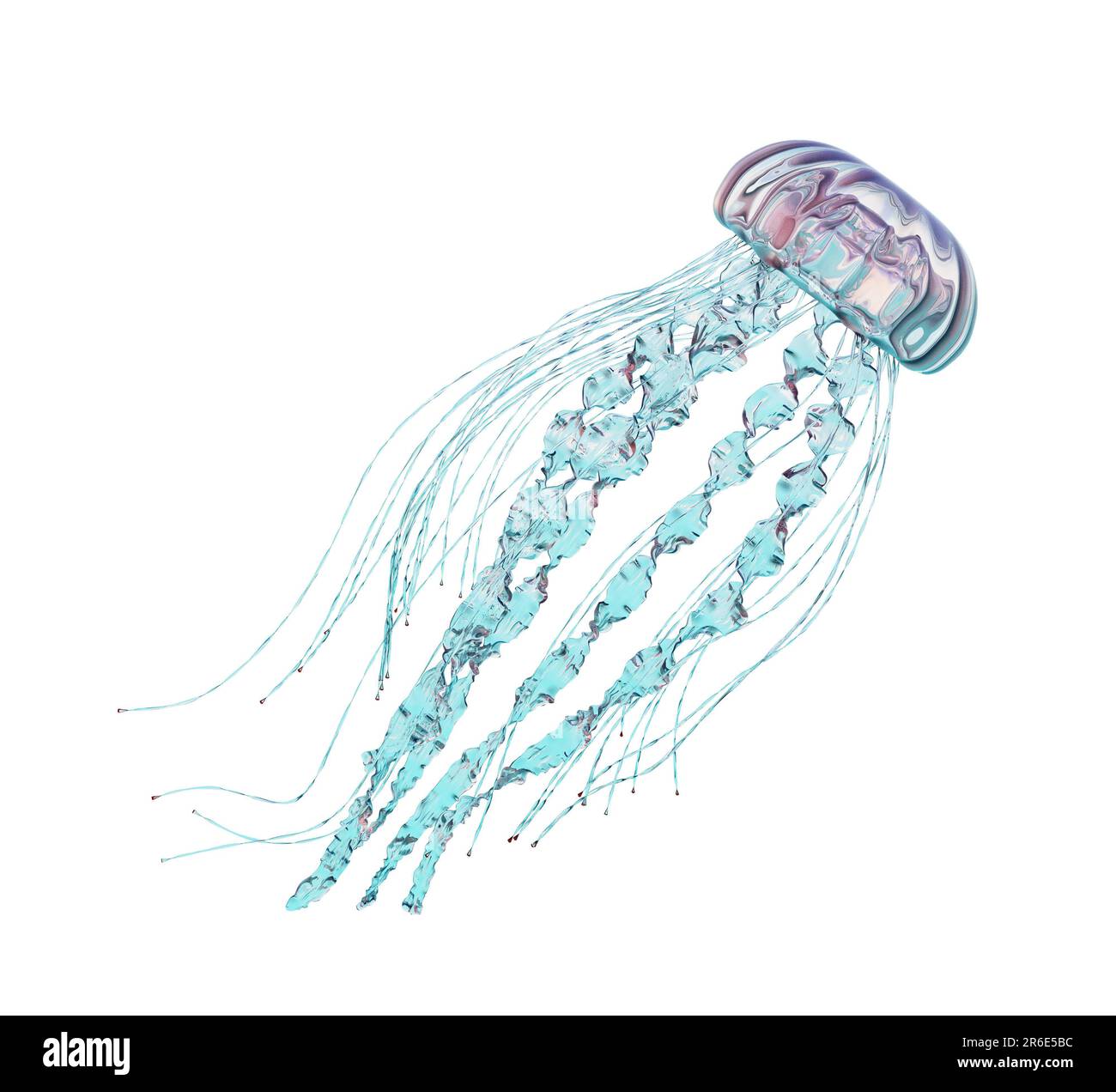 Moon Jellyfish Sketch