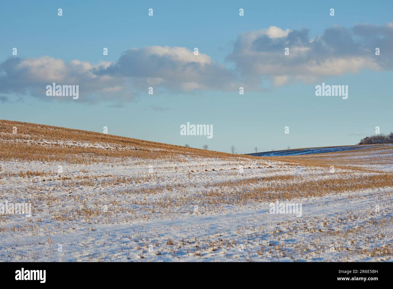 Snow covered grass in field, farm or countryside on blue sky and clouds ...