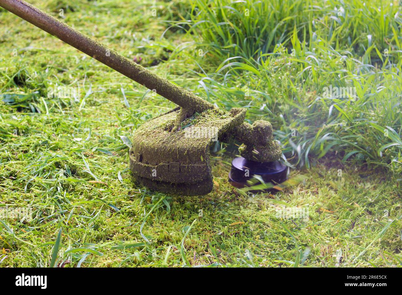 Man mows the lawn hi-res stock photography and images - Alamy