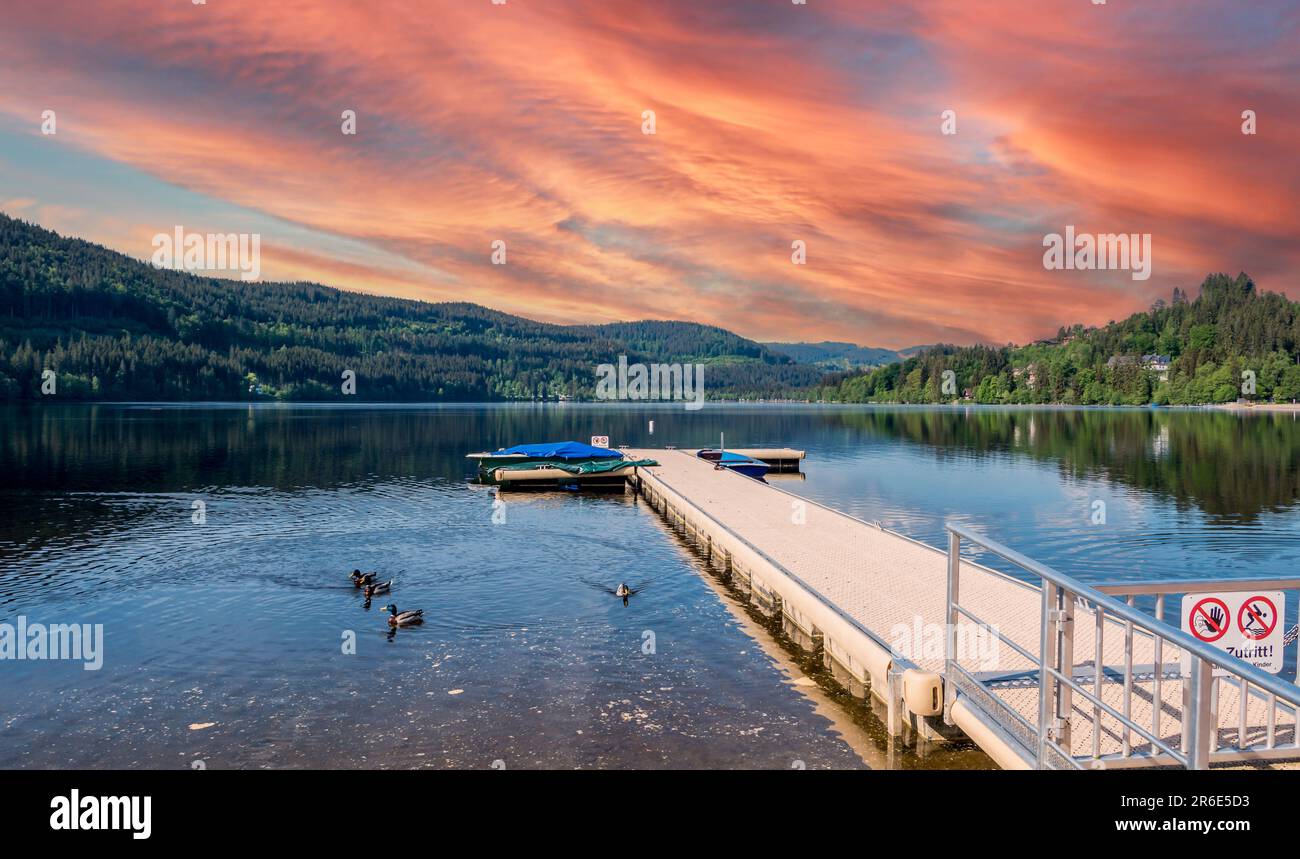 Walk high level black forest hi-res stock photography and images - Alamy