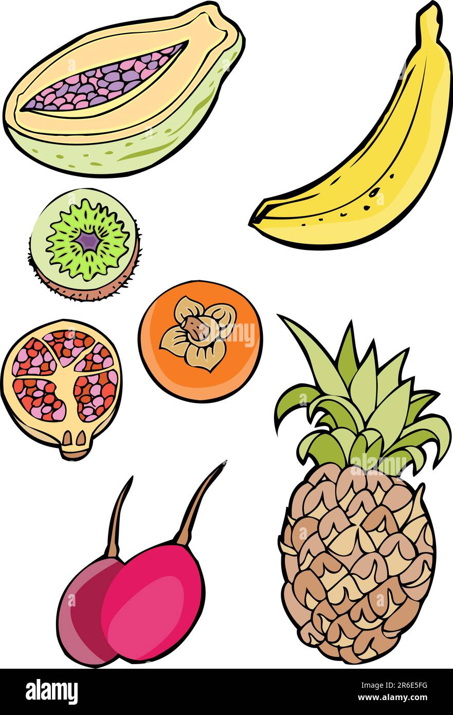 Different types fruit Stock Vector Images - Alamy