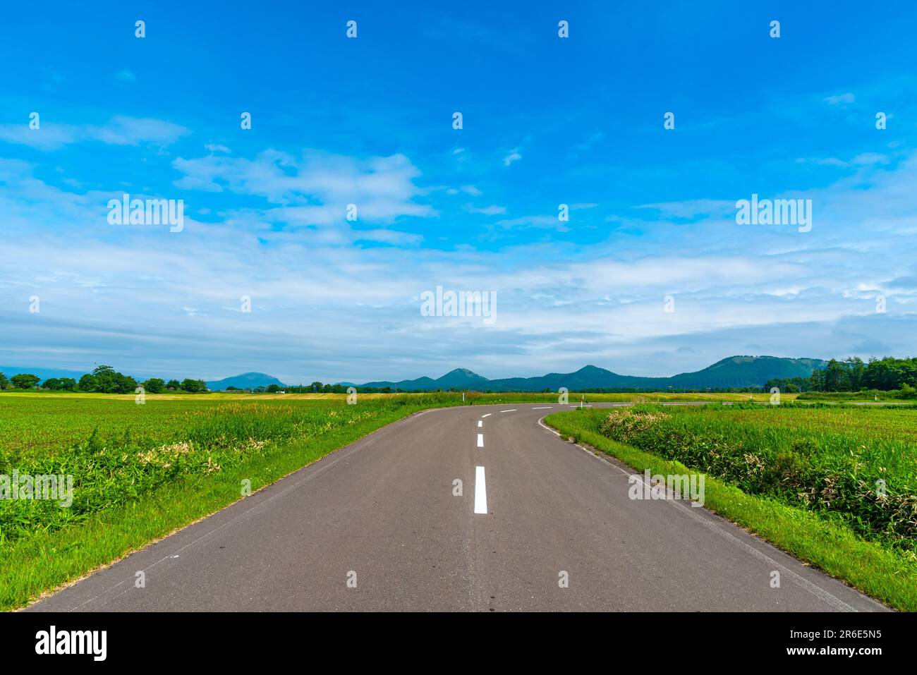 Forward aspect hi-res stock photography and images - Alamy