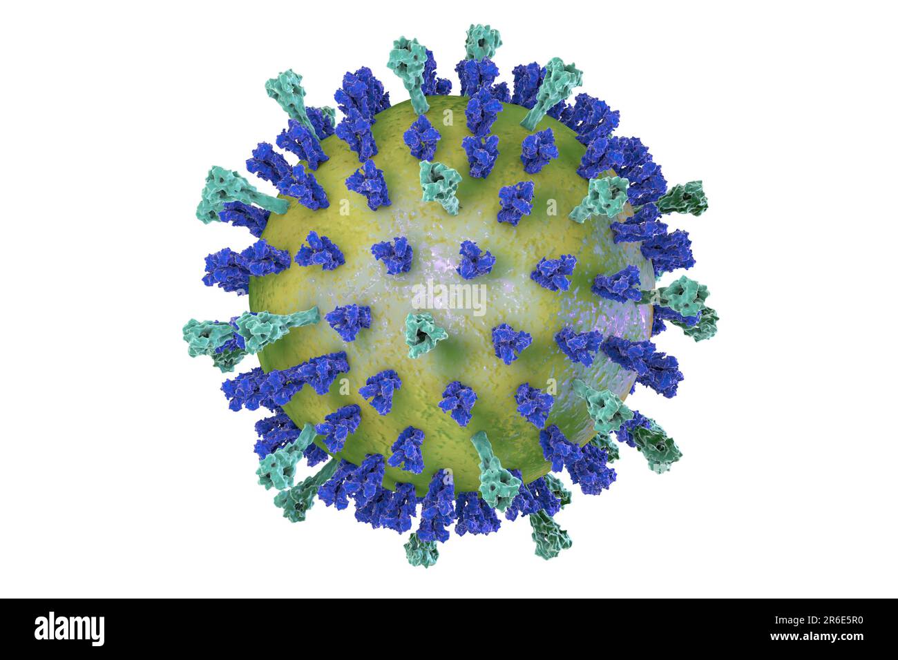 Respiratory syncytial virus (RSV) particles, computor illustration ...