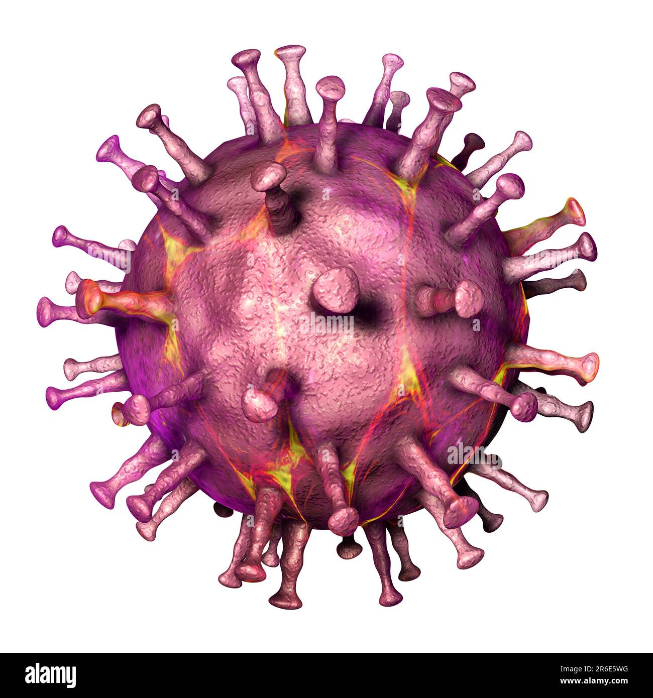 African swine fever virus, illustration. This virus is a member of the ...