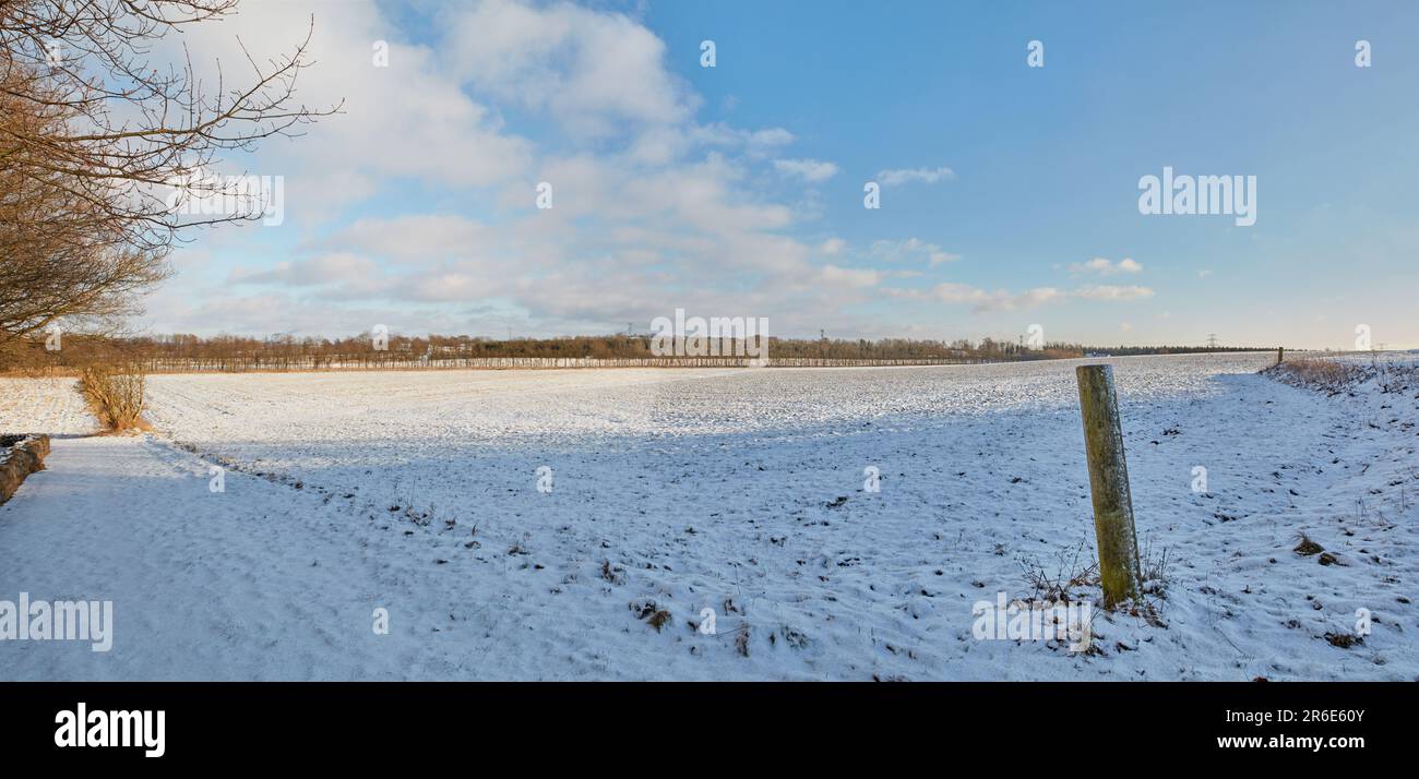 Snow, field and landscape with nature and outdoor, environment with ...