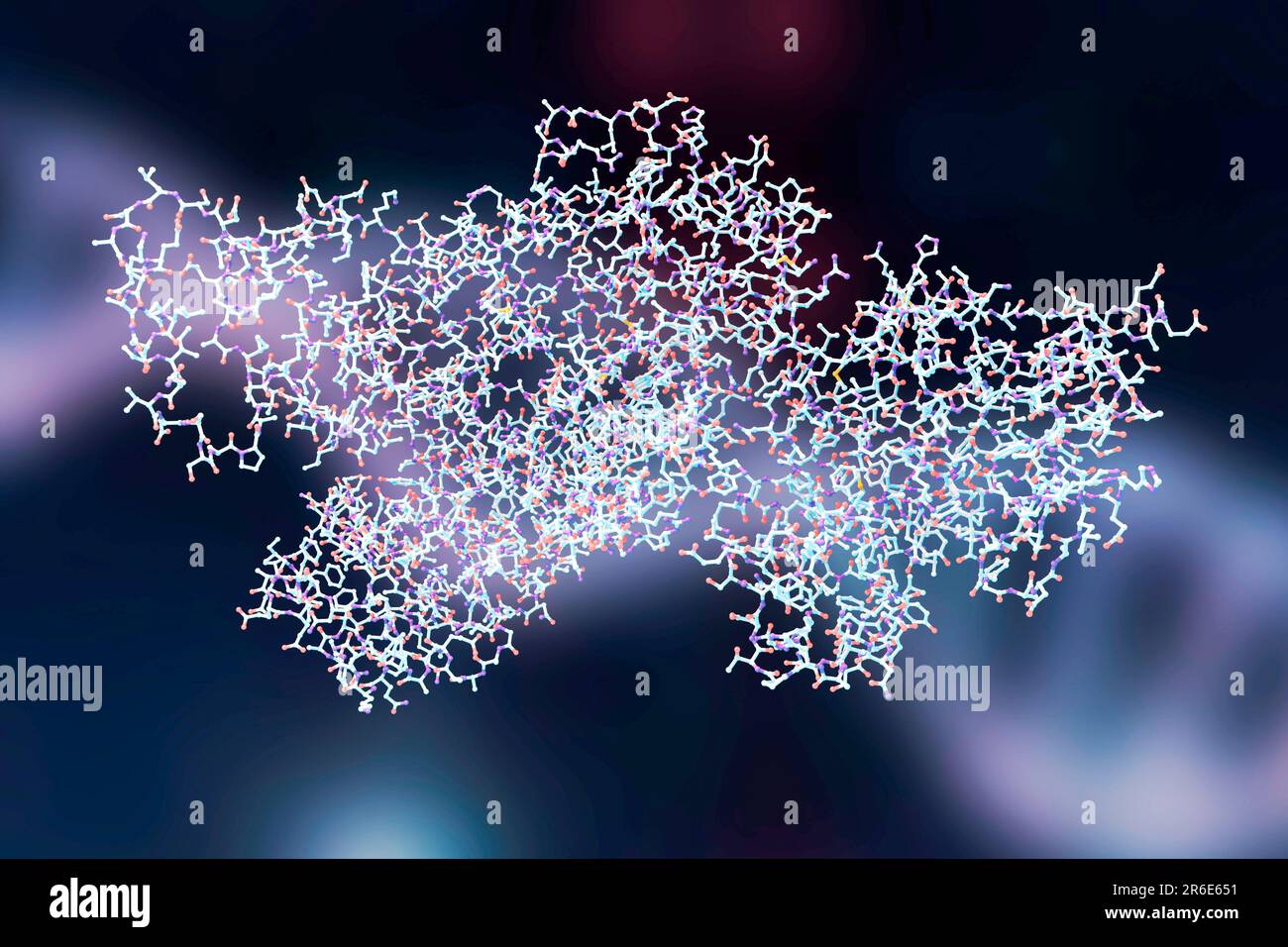 Anthrax lethal factor, molecular model. This enzyme is one of three ...