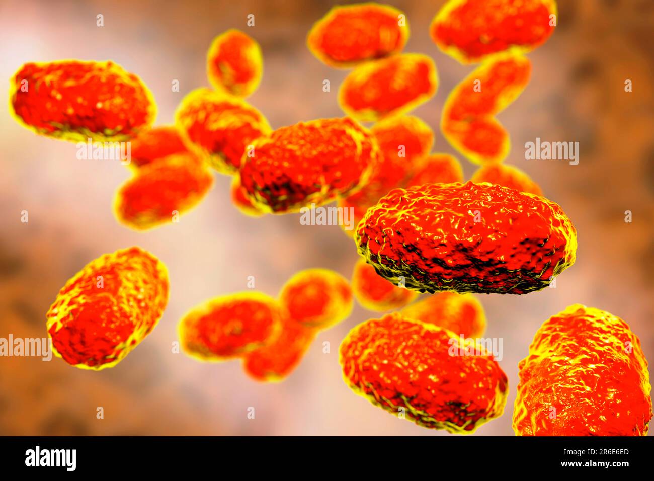 Whooping cough bacteria (Bordetella pertussis), computer illustration ...