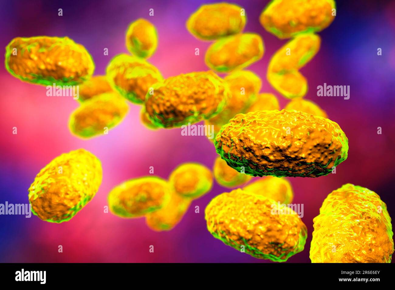Whooping cough bacteria (Bordetella pertussis), computer illustration ...