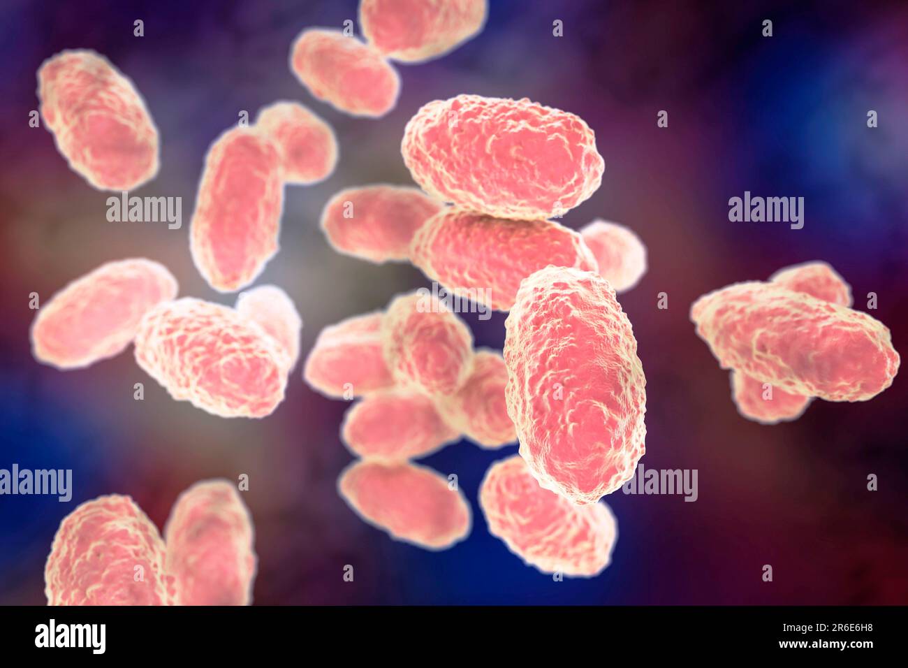 Whooping cough bacteria (Bordetella pertussis), computer illustration ...