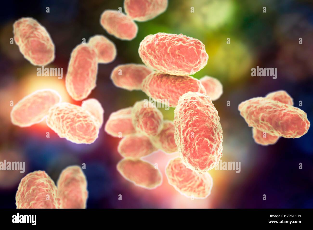 Whooping cough bacteria (Bordetella pertussis), computer illustration ...