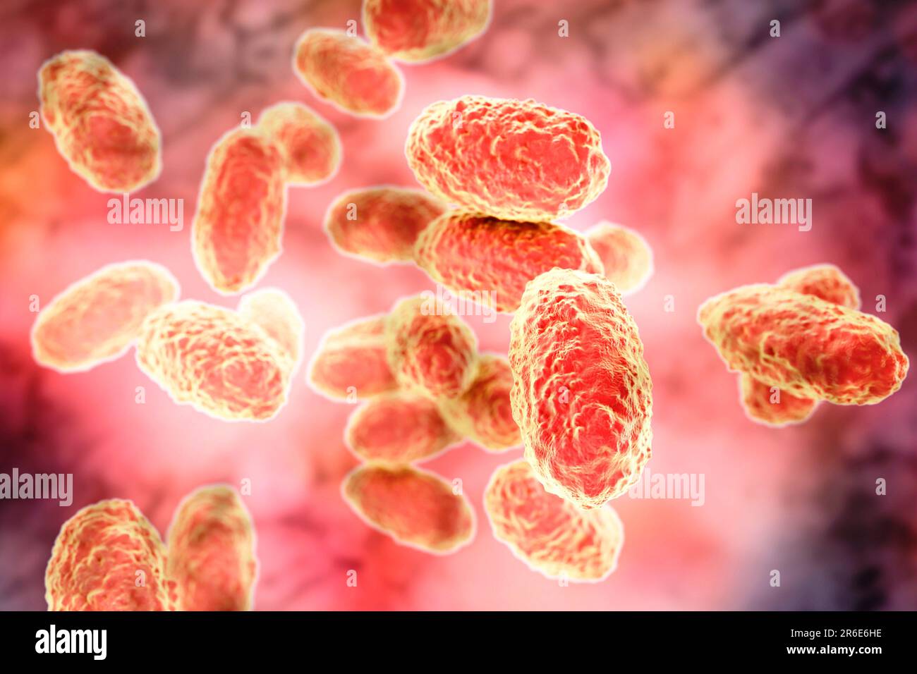 Whooping cough bacteria (Bordetella pertussis), computer illustration ...
