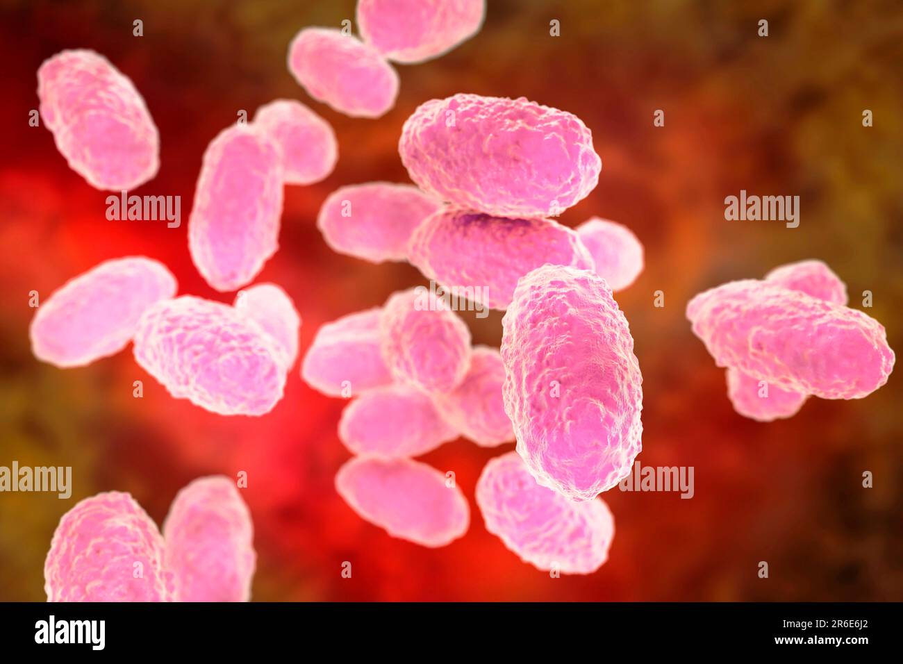 Whooping cough bacteria (Bordetella pertussis), computer illustration ...