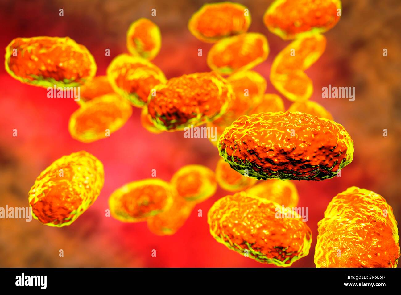 Whooping cough bacteria (Bordetella pertussis), computer illustration ...