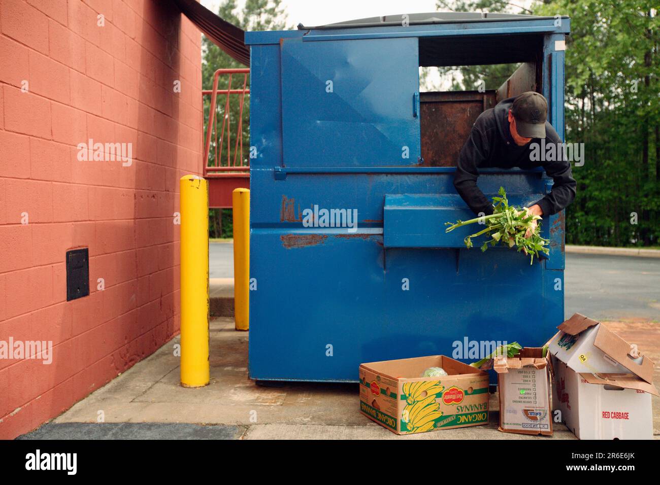 Dumpster food waste hi-res stock photography and images - Alamy